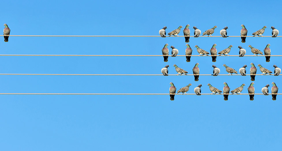 Recognize Class Imbalance With Baselines And Better Metrics Indeed Engineering Blog